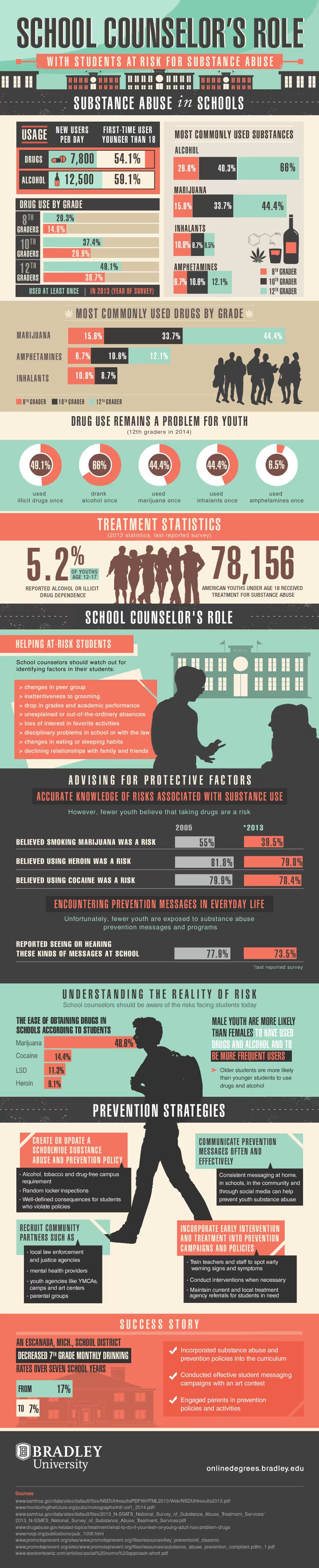 School Counselor's Role with Students at Risk for Substance Abuse ...